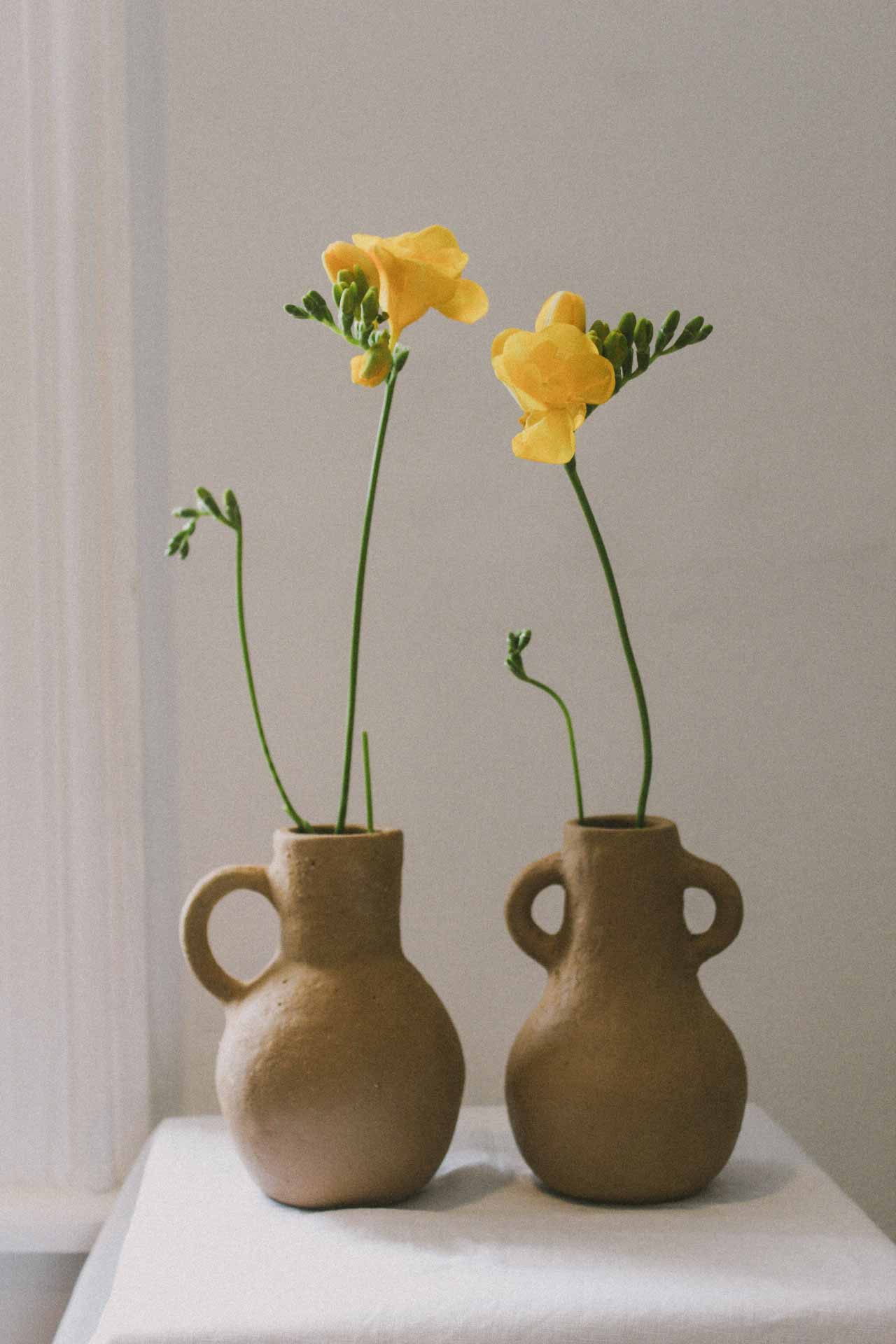 Meadow & Muse – Meadow & Muse